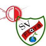 Inter Moengotapoe v Flora live scores & match info | Soccerway
