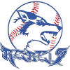 Baseball - Avigliana Rebels - News