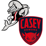 Frankston v Casey results, H2H stats | AFL - Flashscore