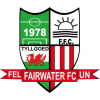 Fairwater stats, results, fixtures & transfers | Soccerway