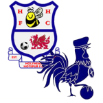 Holyhead v Forden Utd results, H2H stats | Football - Flashscore