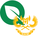 FlyQuest eSports vs GAM Esports resultados, estatísticas dos confrontos ...