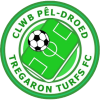 Tregaron Turfs live scores, results, fixtures | Football, Wales