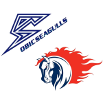 Obic Seagulls v Sagamihara Rise 08/11/2025 | American football - Flashscore